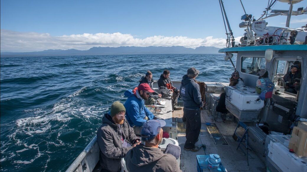 Careers In Water & Marine Sciences: What You Need To Know